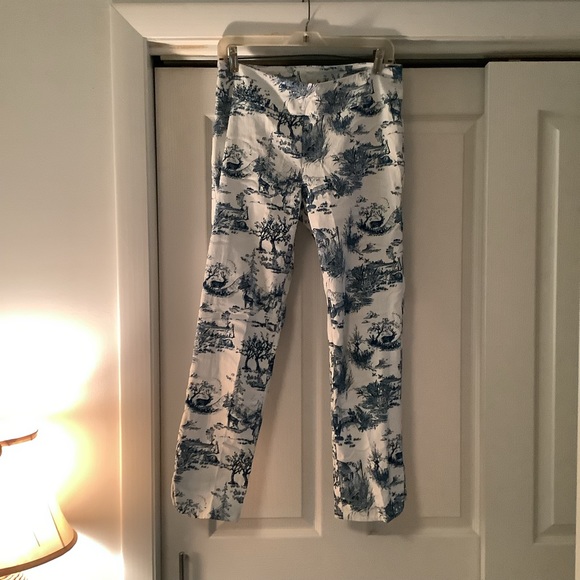 Soft Surroundings | Pants & Jumpsuits | Print Slim Fit Pants Sz Med ...